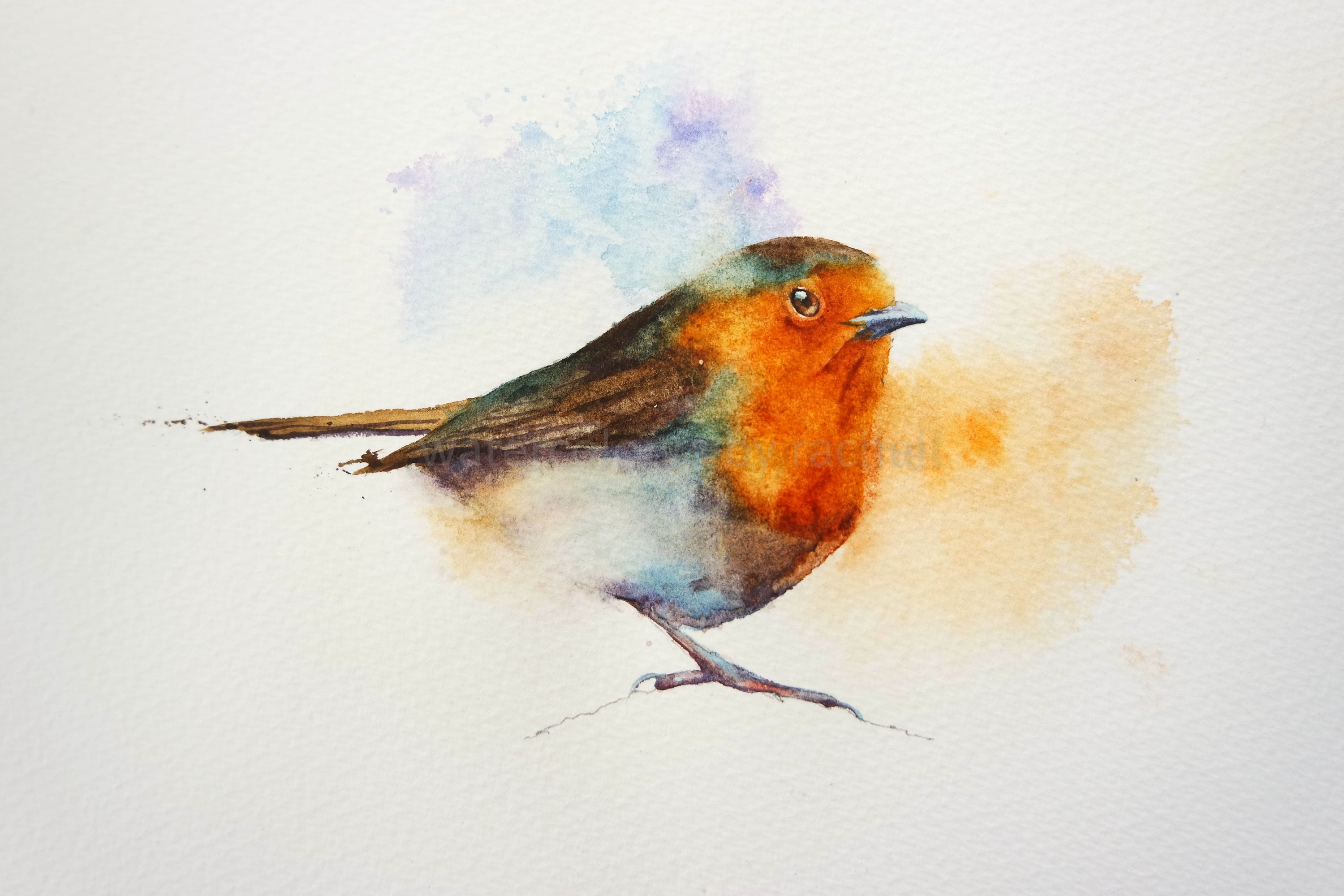 A robin for Christmas in 10 easy steps – watercolours by rachel
