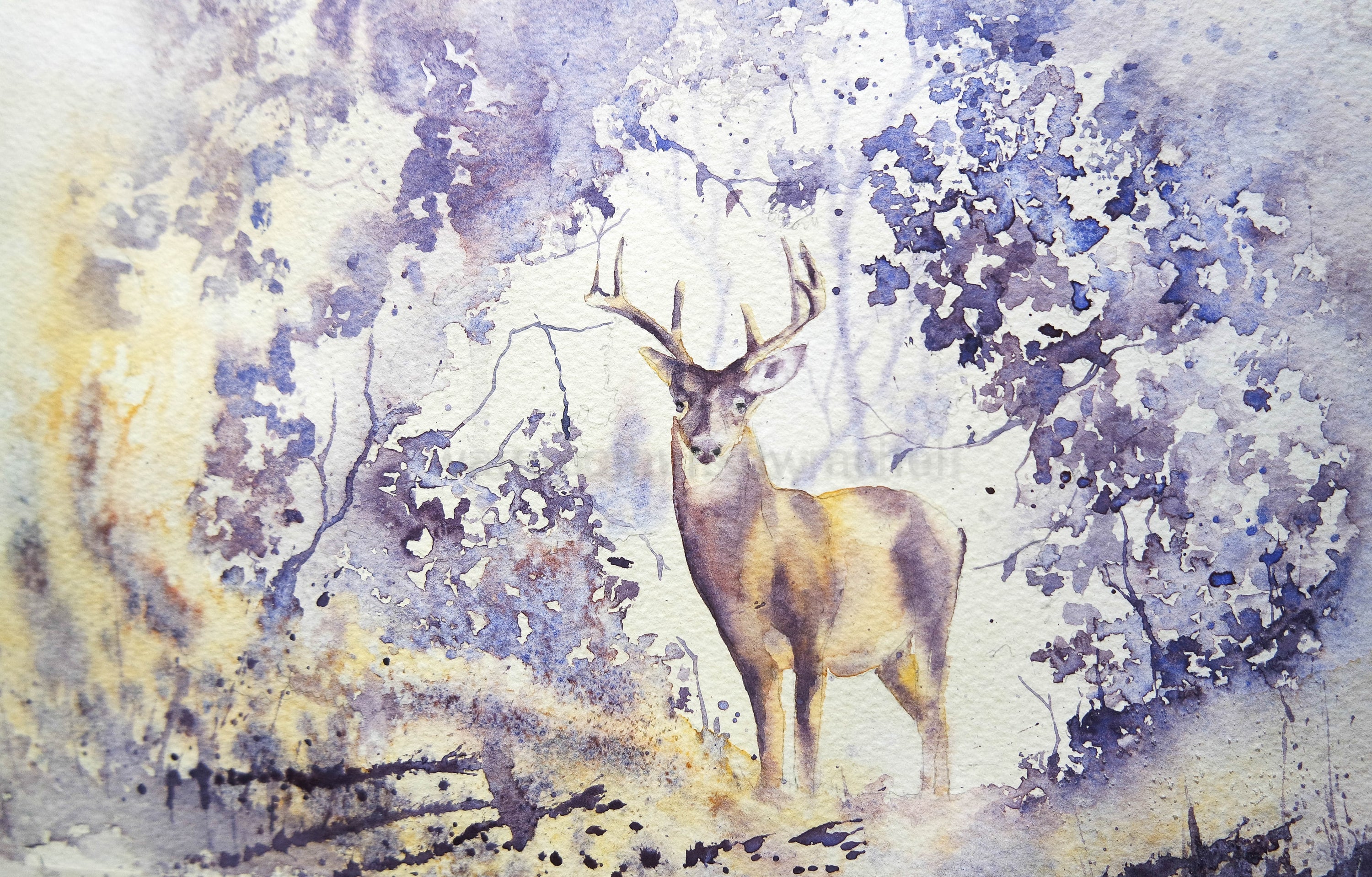 take 3 colours – watercolours by rachel