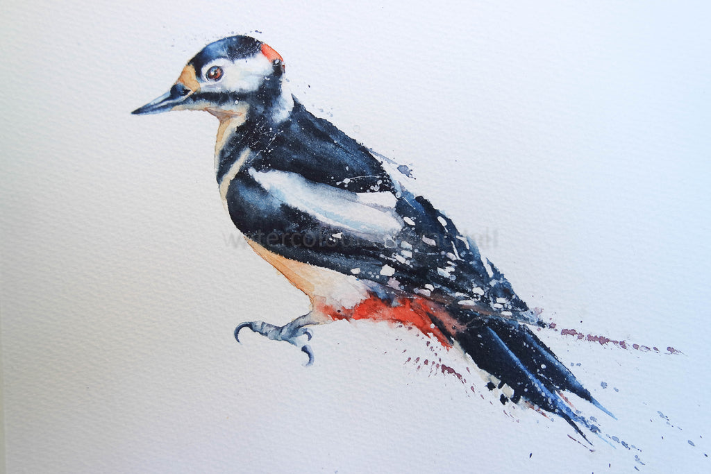 How to paint a woodpecker ( or the long wait.....) – watercolours by rachel