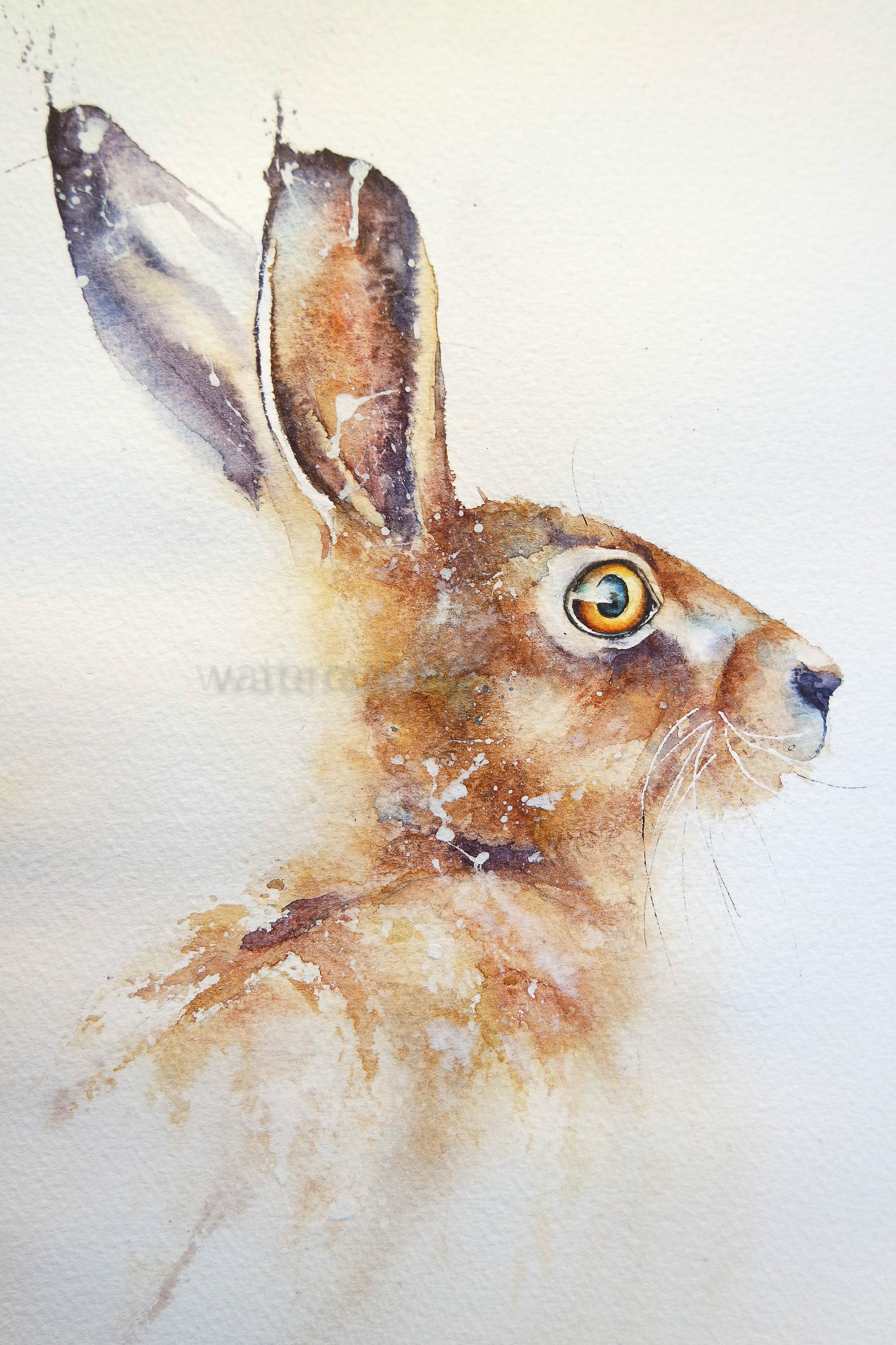 My 'Hare' styles over the years – watercolours by rachel