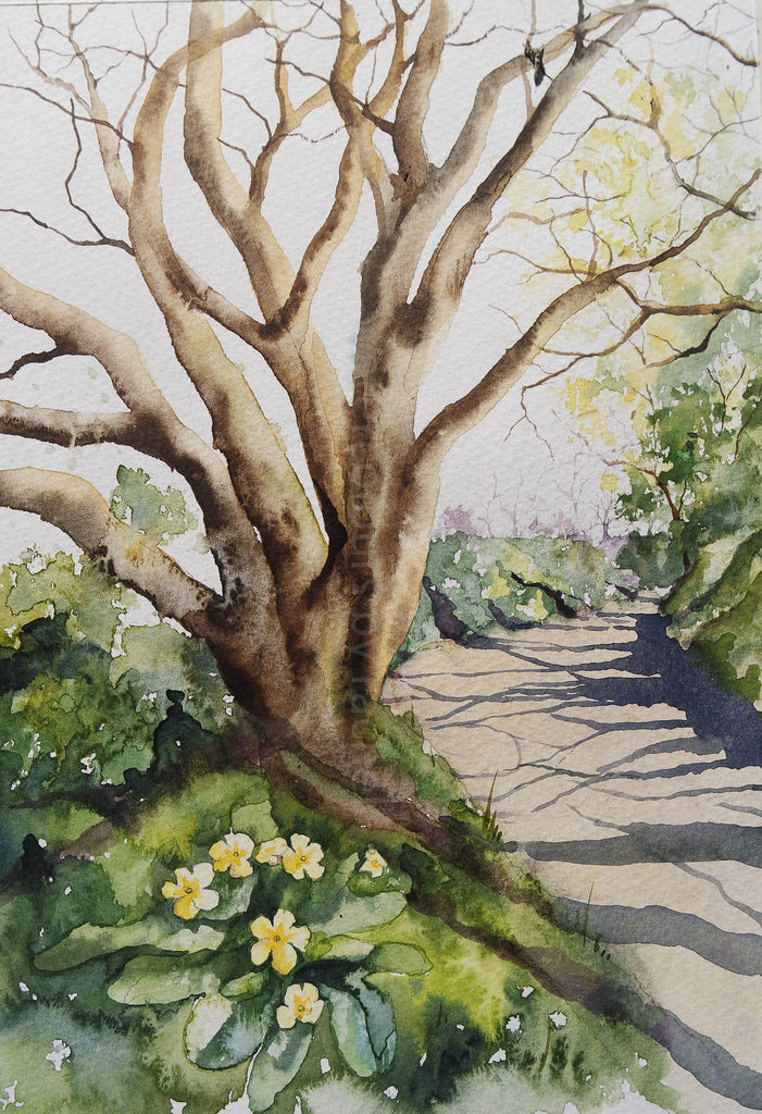 Spring ! – watercolours by rachel
