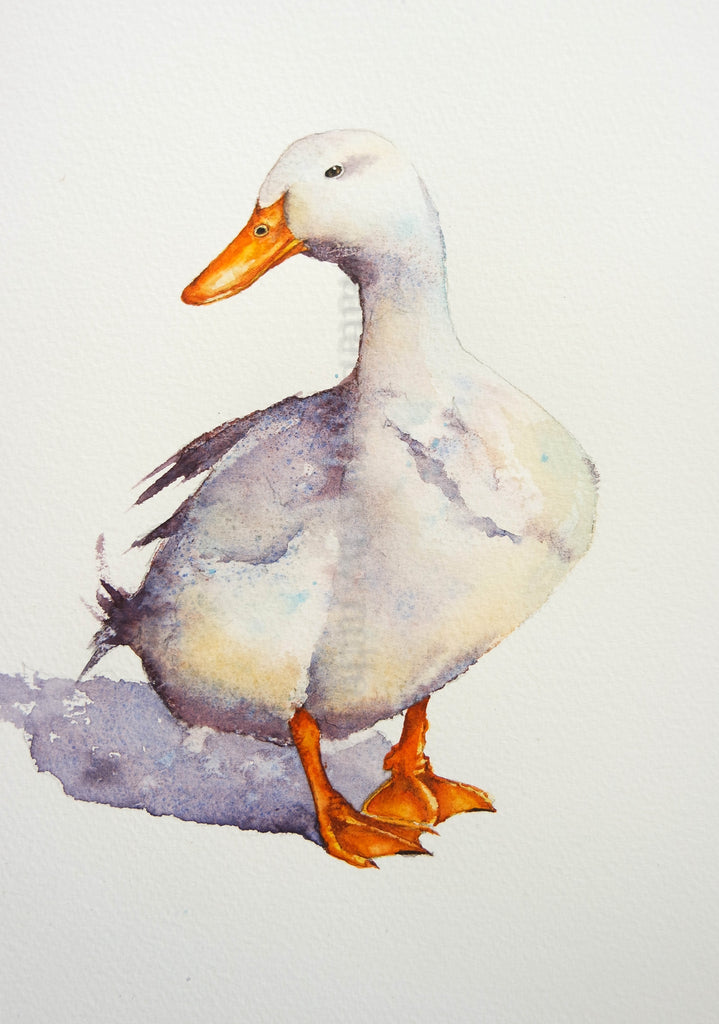 Hello Duck ! – watercolours by rachel