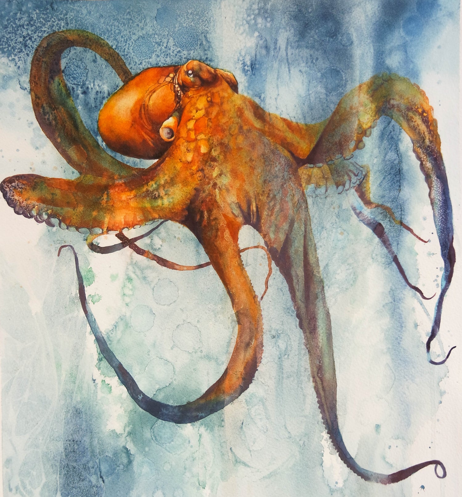 blog – watercolours by rachel