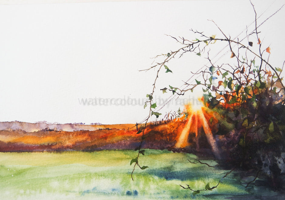 watercolours by rachel