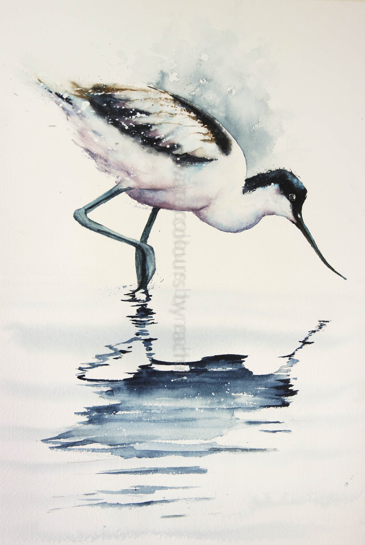 original paintings – Page 2 – watercolours by rachel
