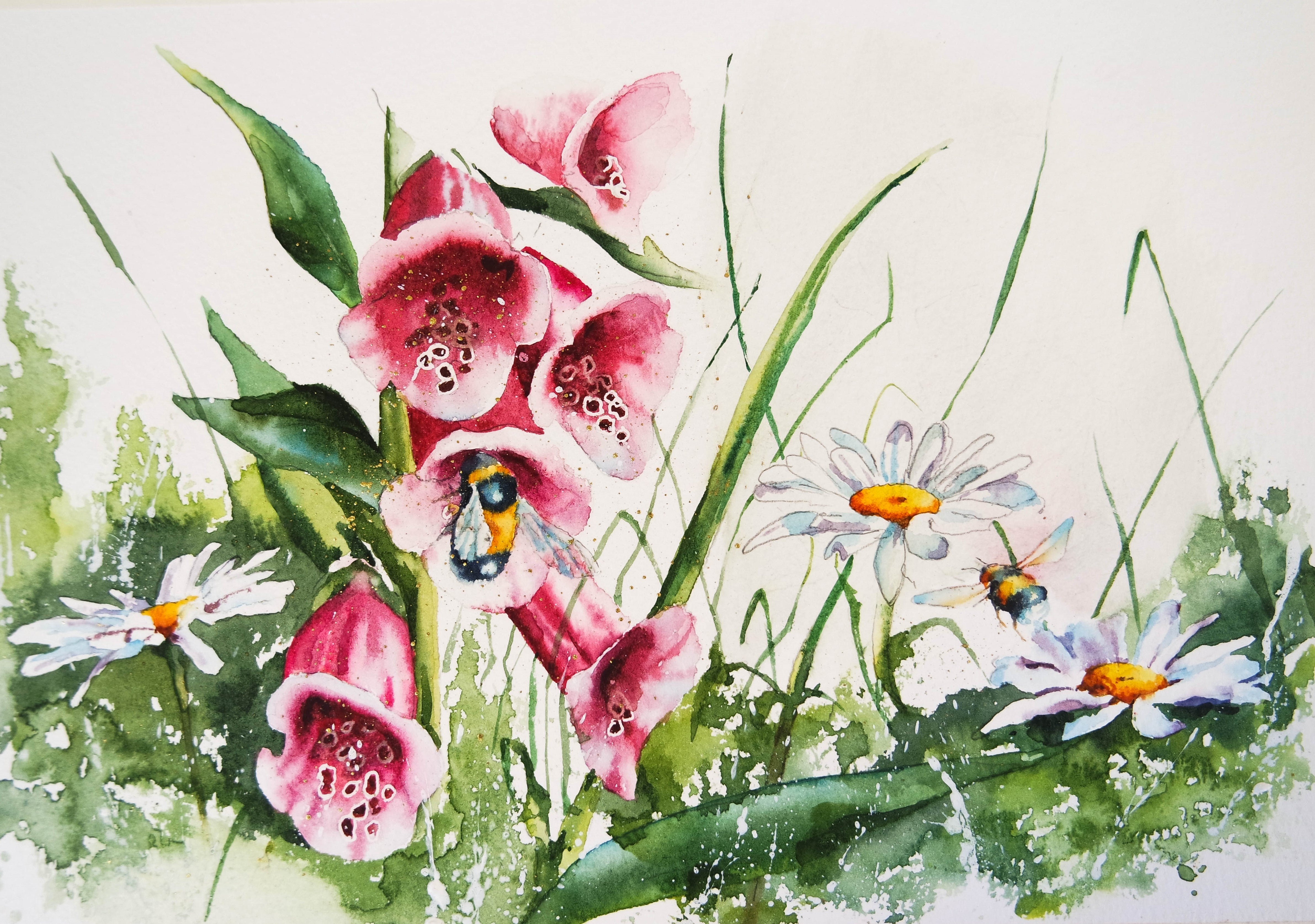 watercolours by rachel