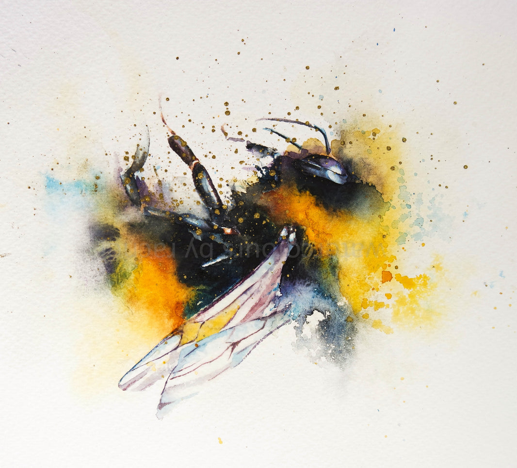 original paintings – watercolours by rachel