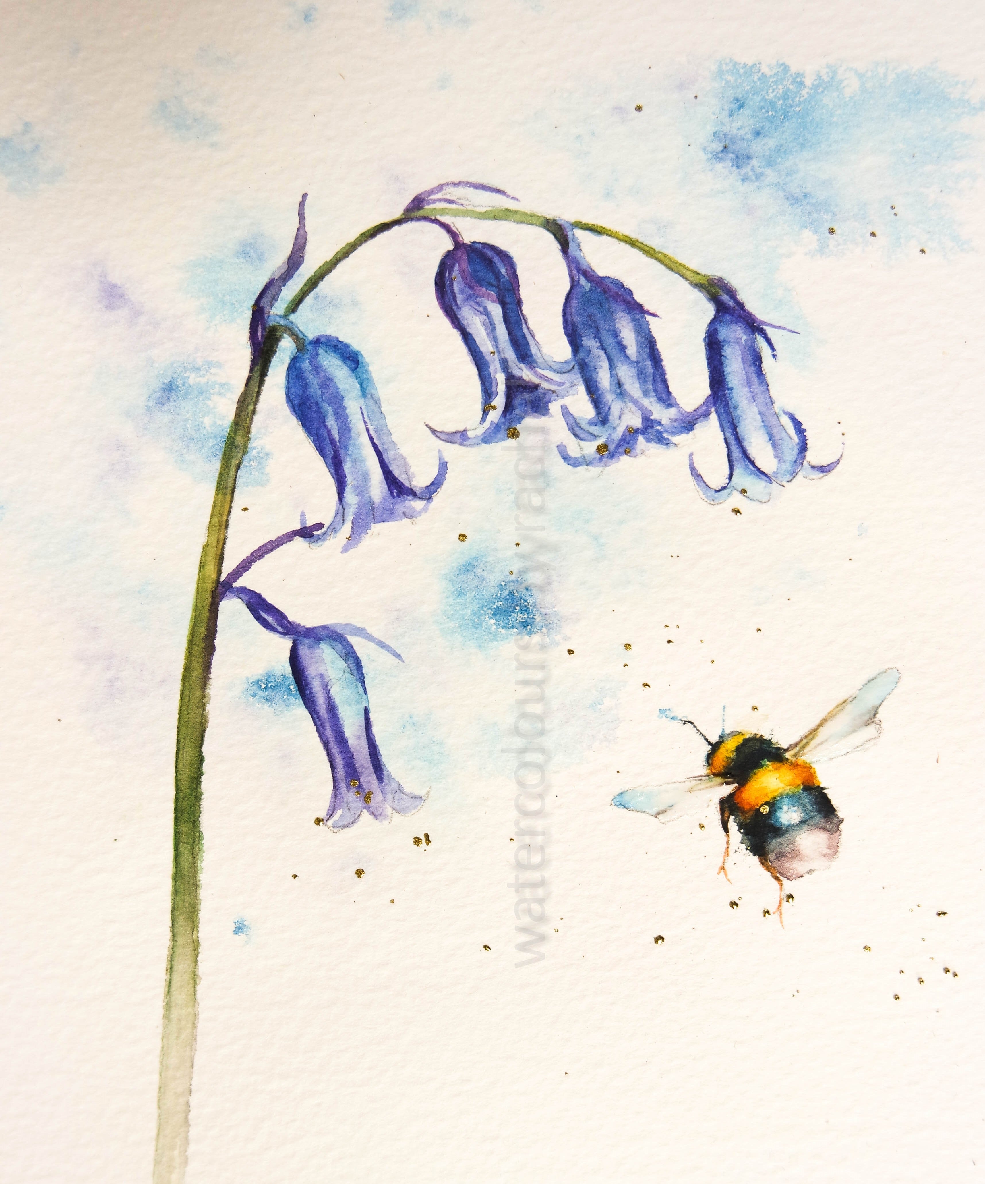 ***Affordable original***Bluebell bee – watercolours by rachel