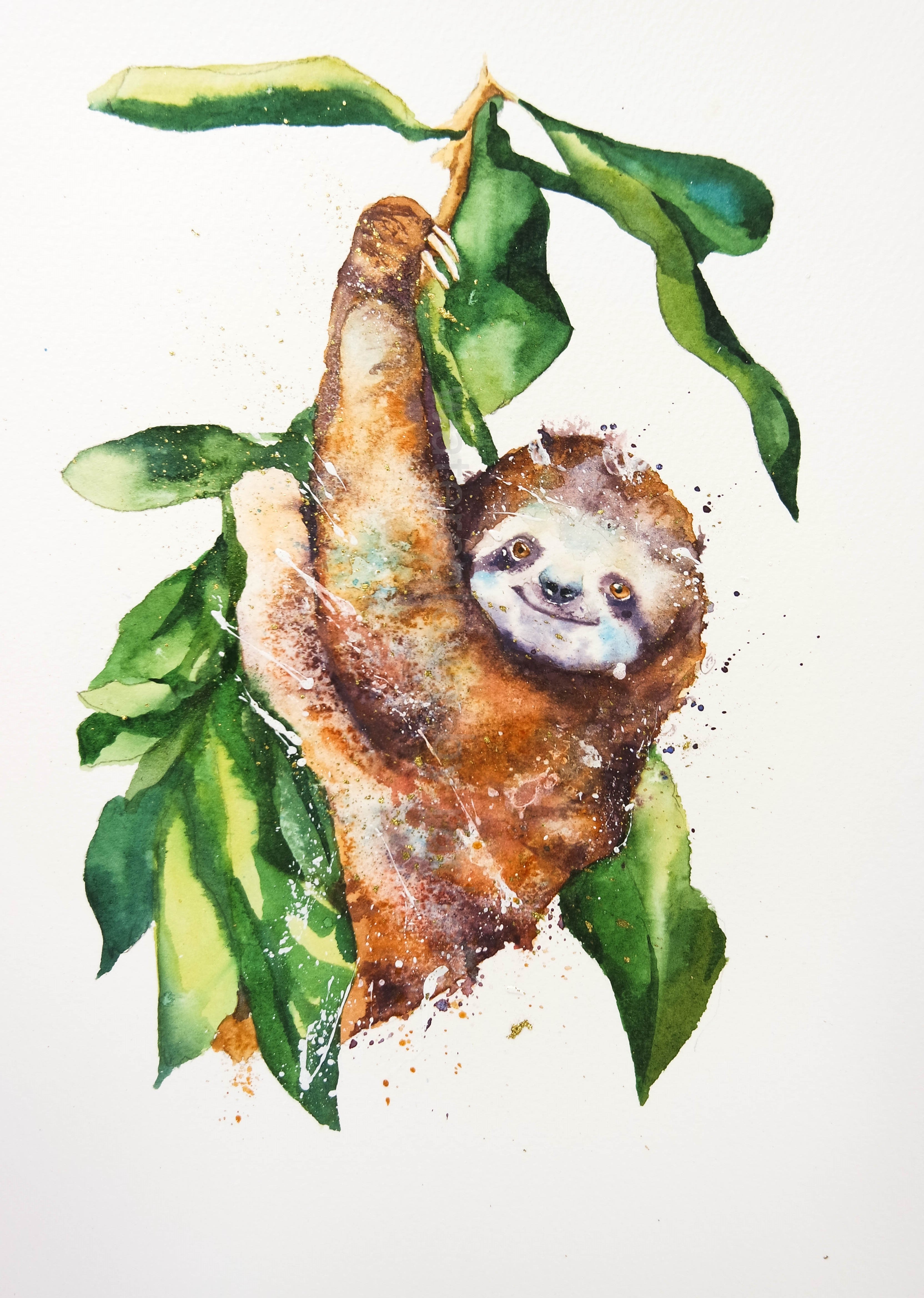 original paintings – watercolours by rachel