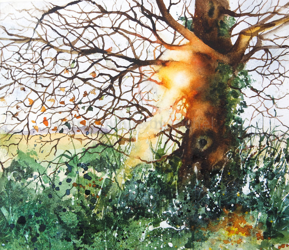 original paintings – watercolours by rachel