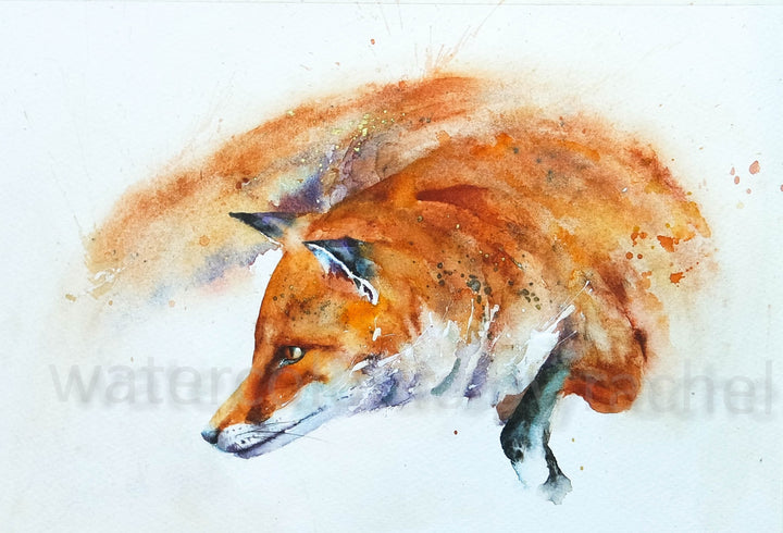 original paintings – watercolours by rachel