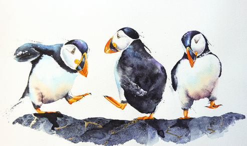 Dancing Puffins – watercolours by rachel