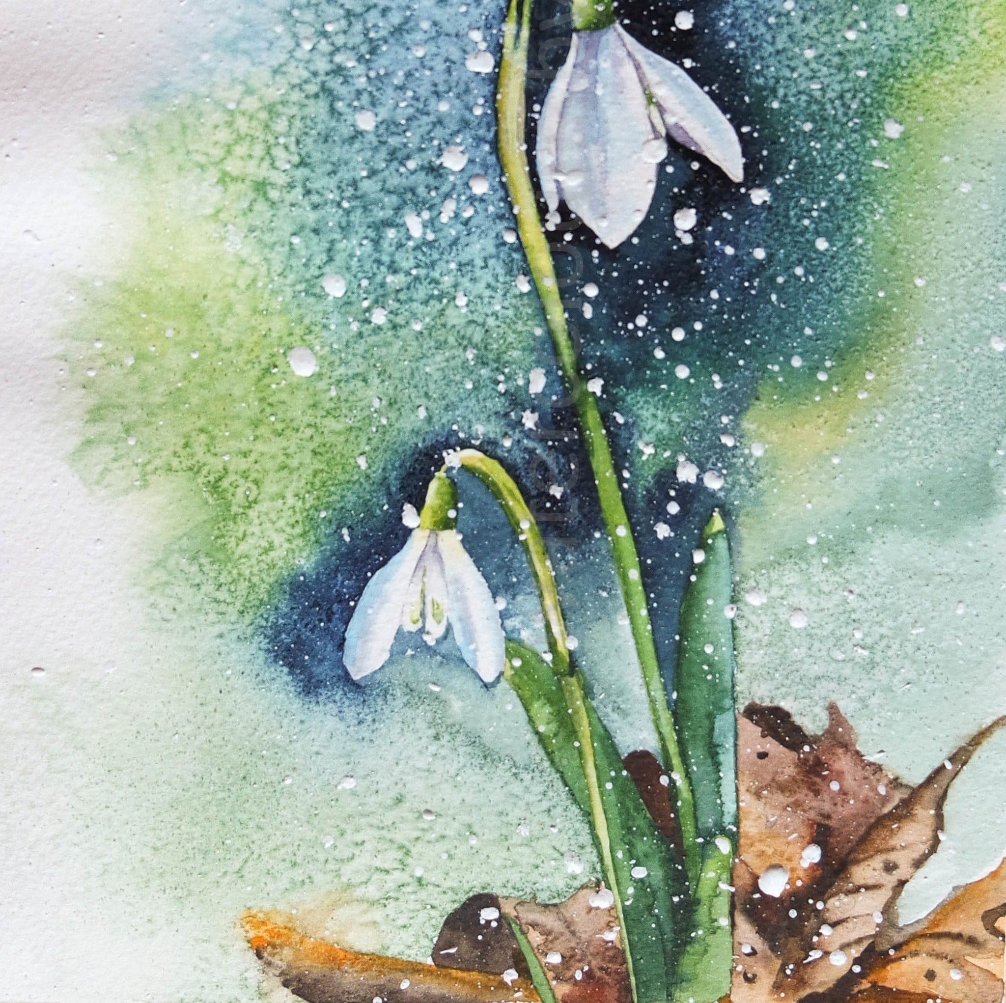 Snowdrops – watercolours by rachel