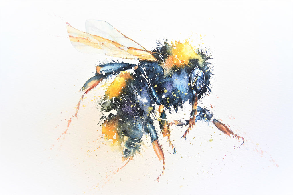 Rachel's wildlife artist of the year pieces ...crow, hare, bee and oct ...