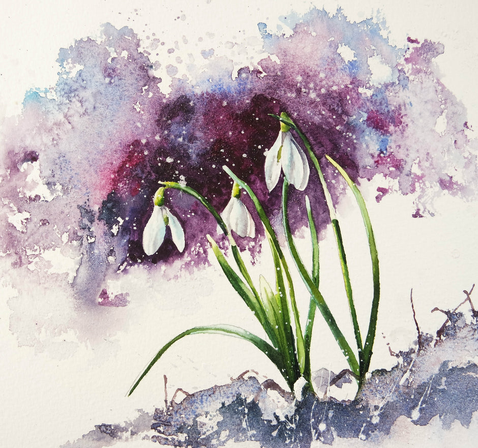 watercolours by rachel