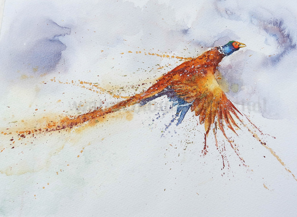 watercolours by rachel